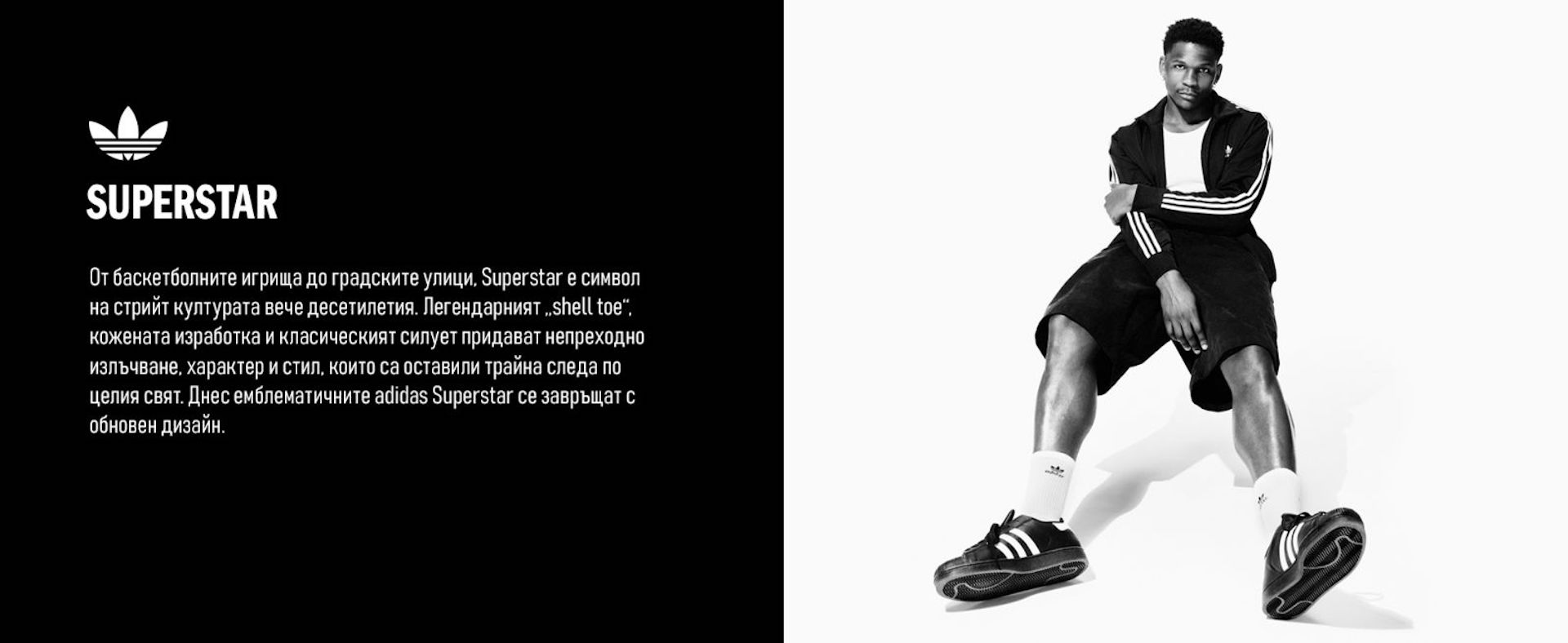 adidas Superstar | Buzz - Online Shop